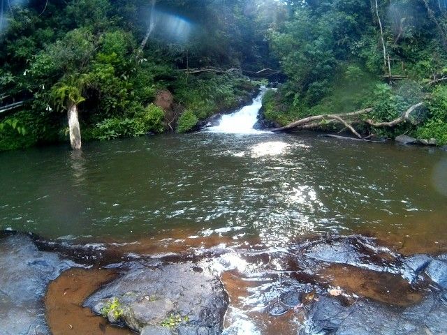 25 Tempat Wisata Di Lembang Yang Wajib Dikunjungi - INFOWISATAID