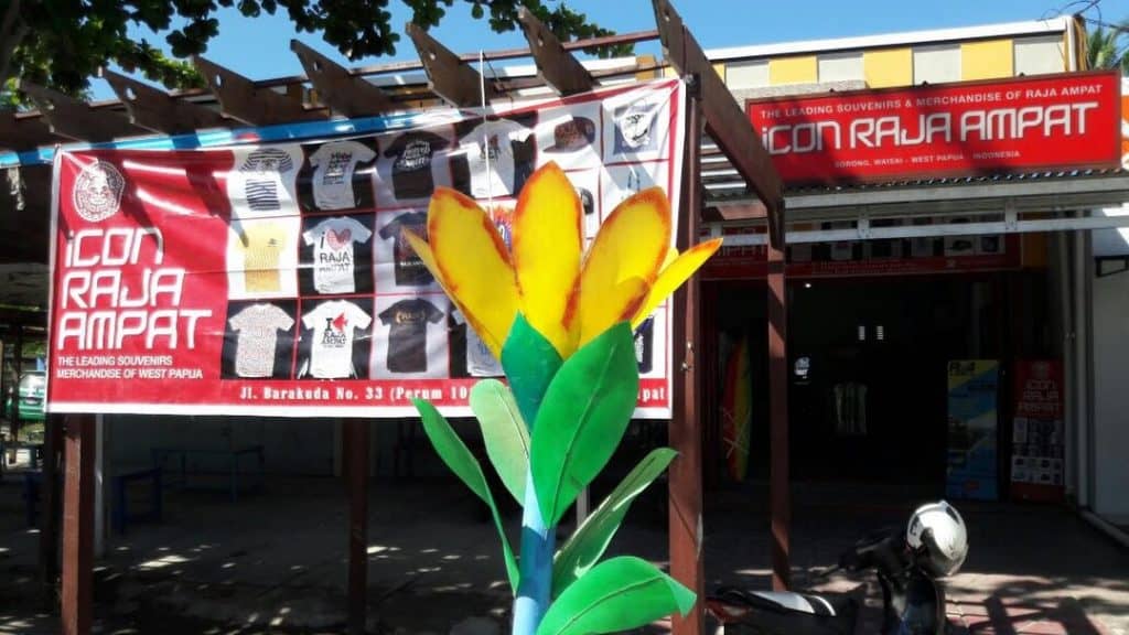 38 Tempat Wisata di Papua Barat Yang Sangat Indah - INFOWISATAID