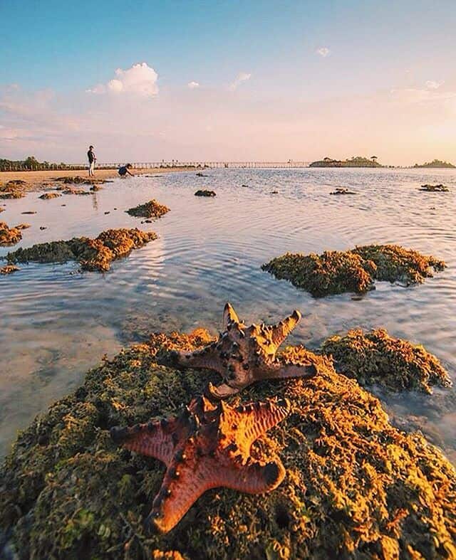 Jelajahi 40 Tempat Wisata di Batam yang Menarik Hati Wisatawan ...