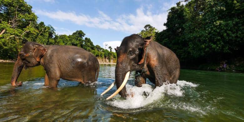 36 Tempat Wisata Di Medan Yang Hits dan Wajib Anda Kunjungi - INFOWISATAID